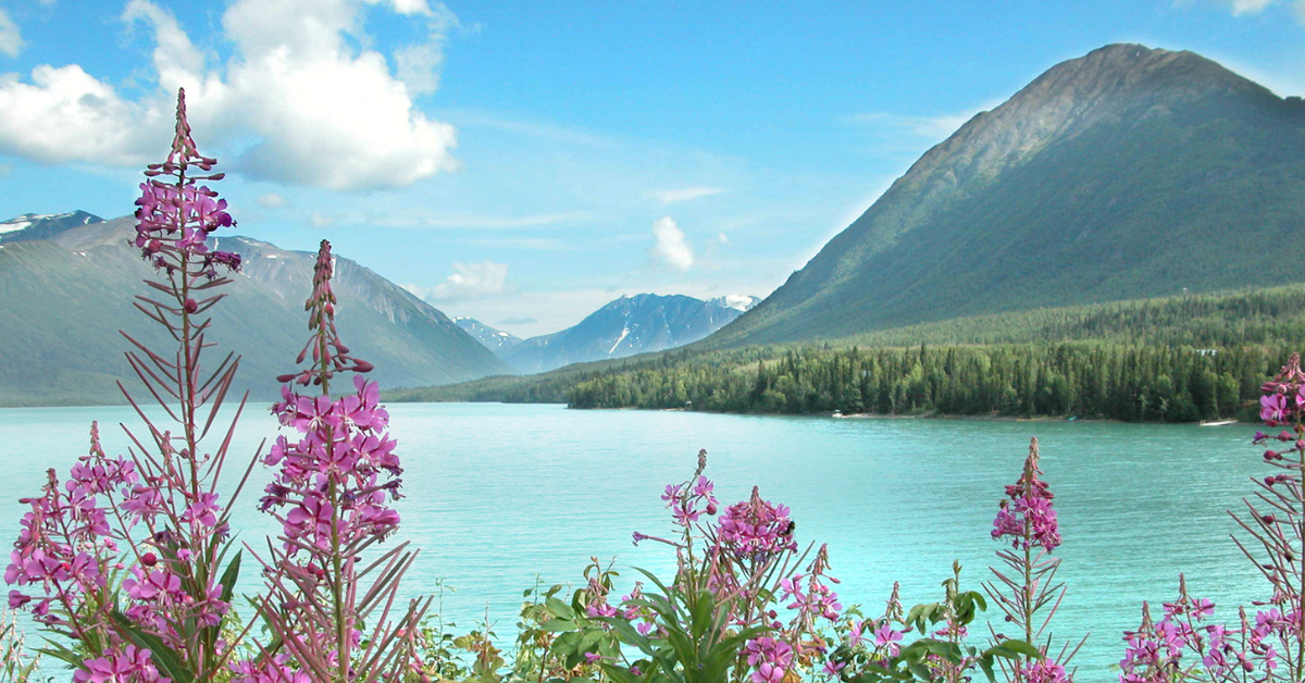 Willow Project - The Controversial US Oil Plan Explained ...