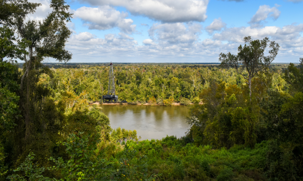 New Oil Drilling Plans Spark Outcry in Florida Basin - OklahomaMinerals.com